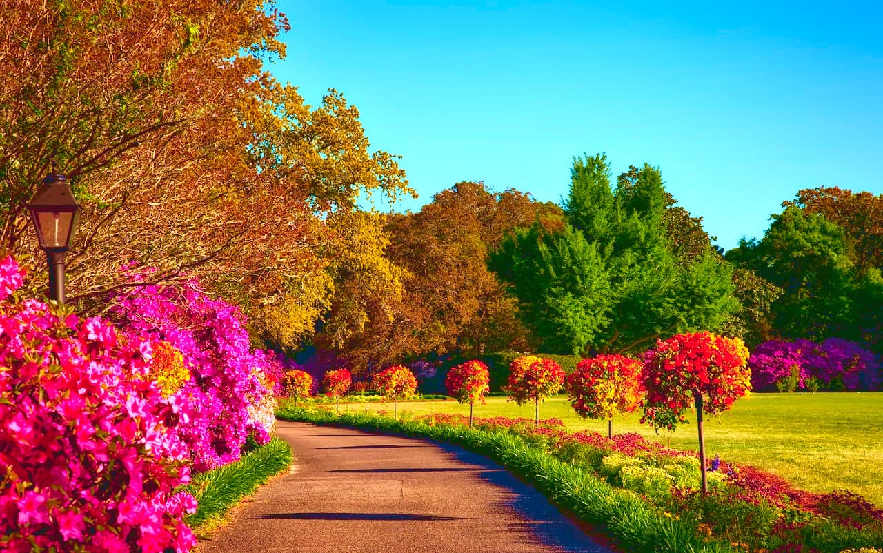 What an ideal park should be like from a city dweller's point of view ...